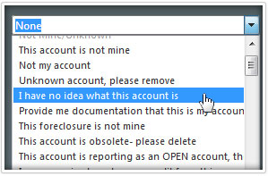 Credit Repair Software Customization How To Start A Credit Repair